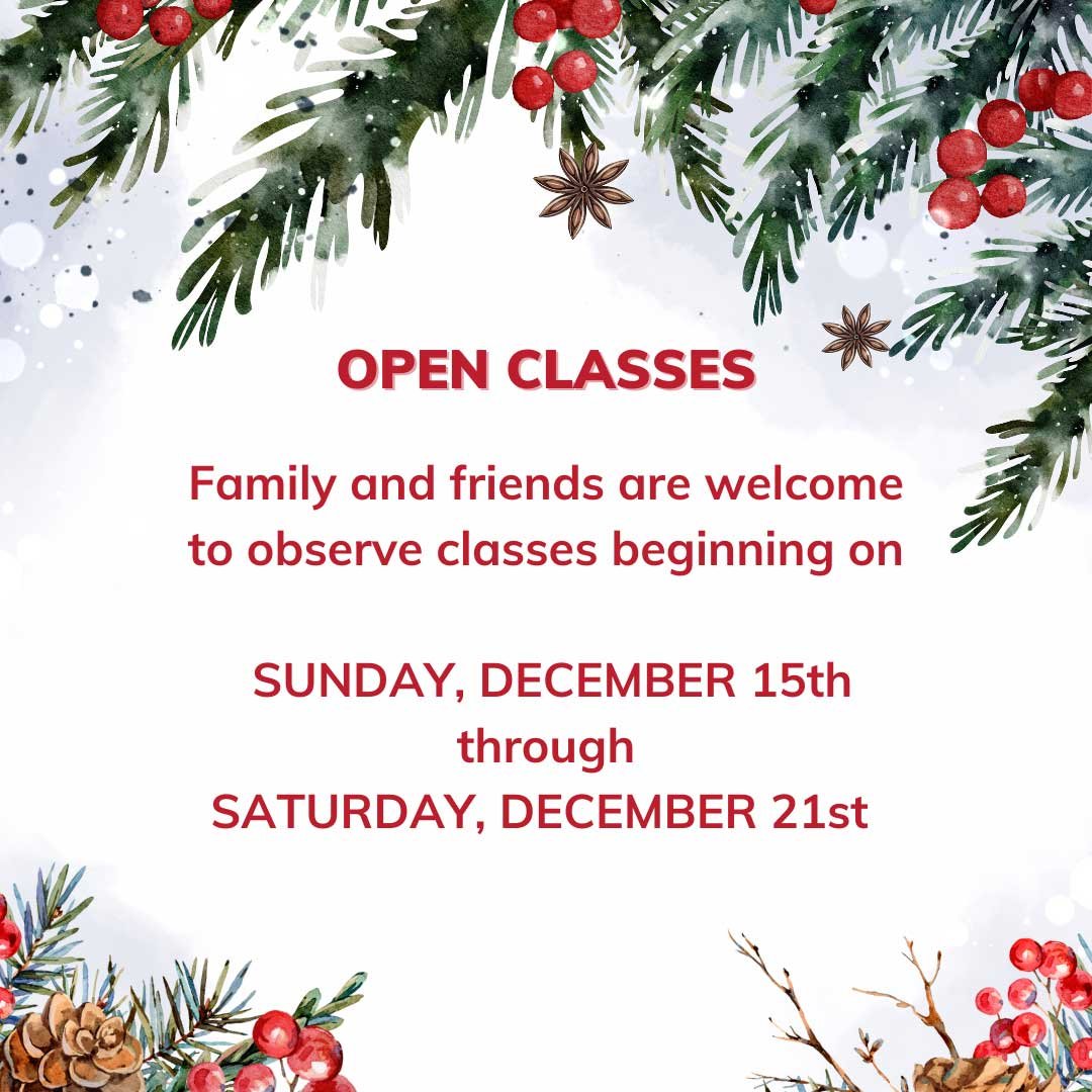 Open Classes December 2024 - Erinvale School of Dance